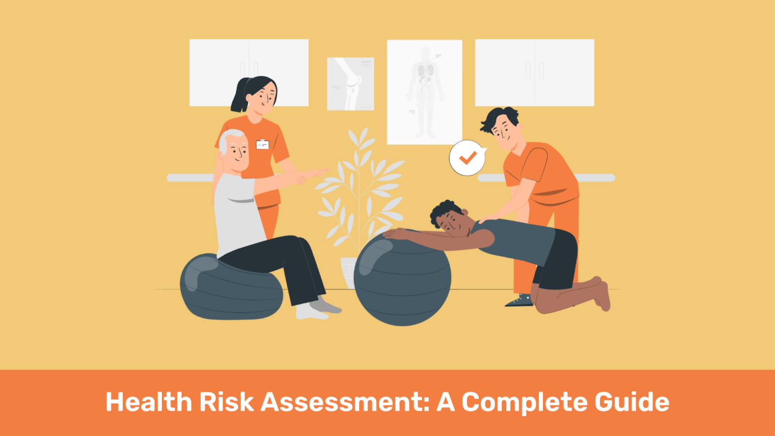 Health Risk Assessment: A Complete Guide - Woliba